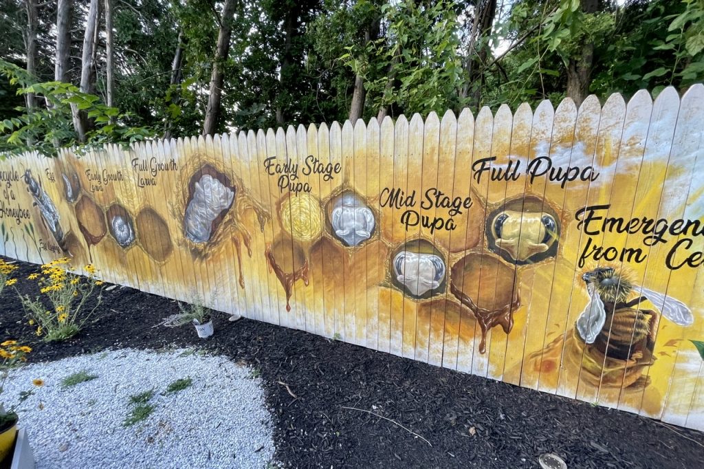 Kenhorst Resident Creates Honeybee Sanctuary in his own Backyard